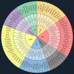 The Emotion Wheel: What It Is And How To Use It