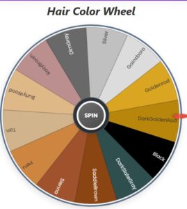 Hair Color Wheel: 100+ Random Shades To Spin