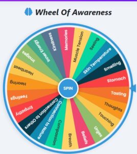 Spin The Wheel Of Awareness